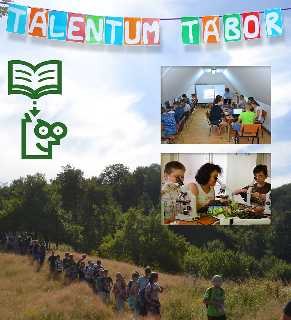 Értesítő a 2022-es Tálentum tehetséggondozó táborokról – Bartók Béla ...